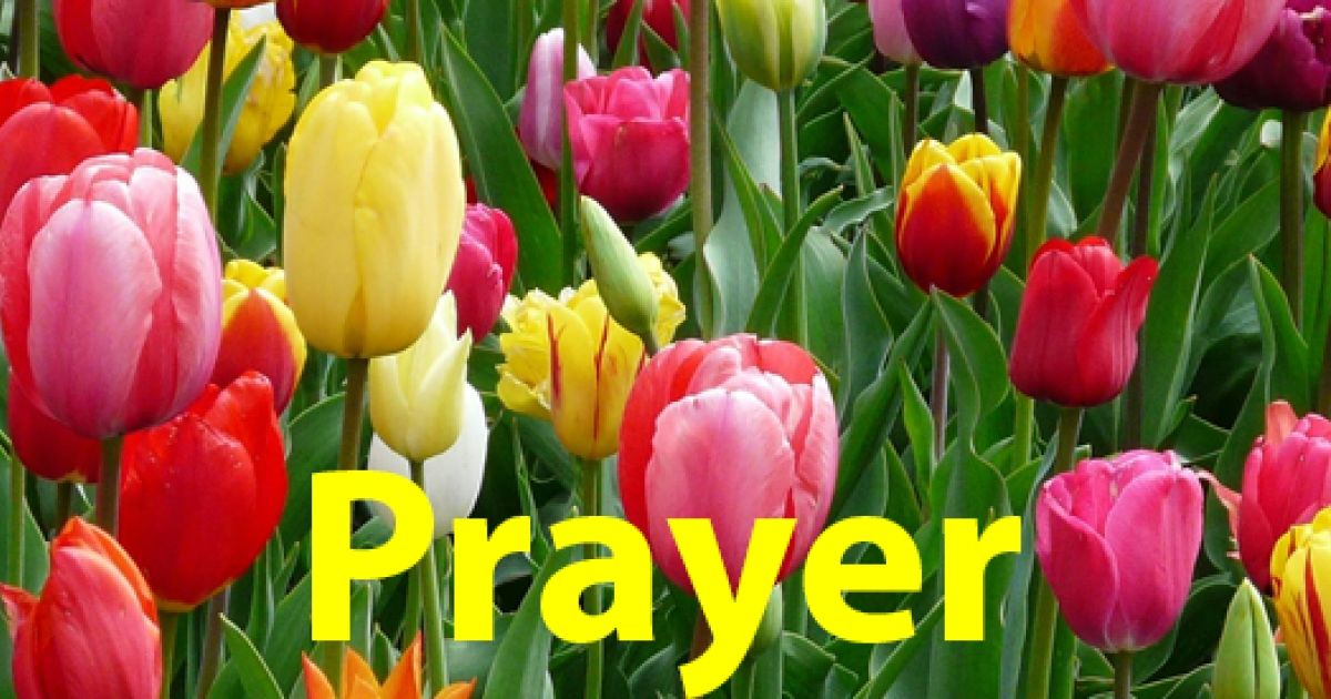 Holy One, Keep Us from Taking Ourselves Too Seriously: An Opening ...